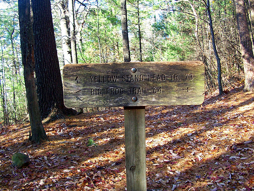 Yellow Stand Lead Trail