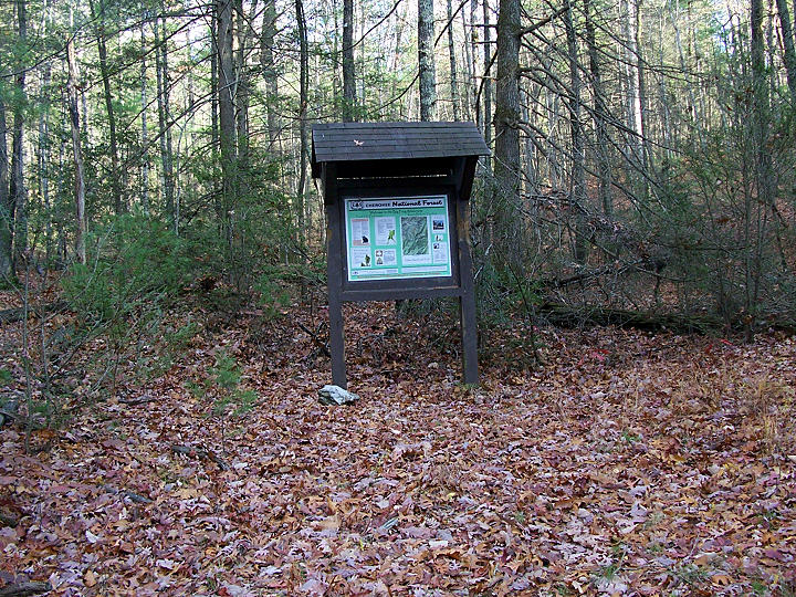 Yellow Stand Lead Trail