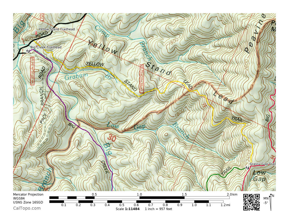 Yellow Stand Lead Trail
